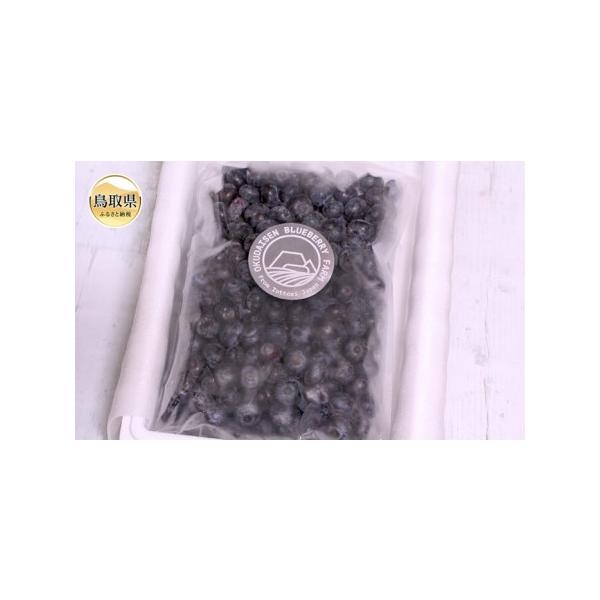 ■ 容量　500g×2パック　製造日から1年間　タイプ：【冷凍】