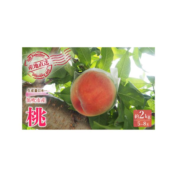 ■ 容量　【内容量】　●約2.0kg　5〜8玉　※青果ですので内容量は若干前後します。　●提供事業者:株式会社Three.R■ 配送について　【発送期日】　2026年6月下旬〜8月下旬　※沖縄・離島への発送不可　タイプ：【冷蔵】