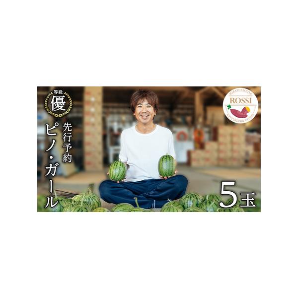 ■ 容量　5玉 (優 以上)■ 配送について　2026年7月下旬からお申込み受付順に発送開始　※天候の影響で収穫時期が前後する場合がございます。予めご了承ください。　※2025年の発送ではございませんので、ご注意ください。　タイプ：【常温】