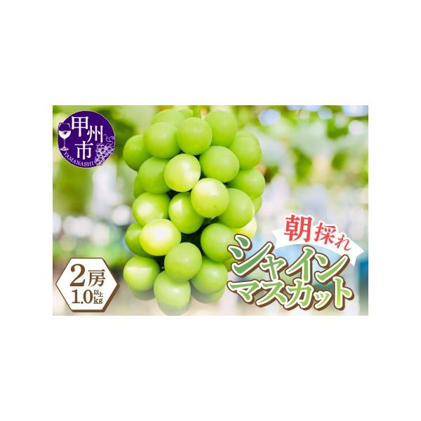 ■ 容量　シャインマスカット 1.0kg以上（2房）　　【申込期日】　2026年9月下旬頃まで　【消費期限】　到着次第、お早めにお召し上がりください。　　【注意事項】　※上記注意事項を必ずご確認ください。　※画像はイメージです。　※収穫時期...