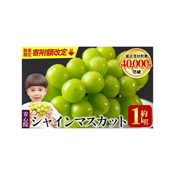 ■ 容量　シャインマスカット　1kg(2房)　宇佐市内で生産しております。■ 配送について　2026年8月下旬から受付順に発送いたします　タイプ：【冷蔵】