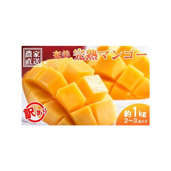 ■ 容量　約1kg　2〜3玉入り(1箱)　【賞味期限】　発送より冷蔵で約1週間■ 配送について　2026年7月下旬から8月中旬頃順次配送予定（青果物の為、その年の収穫時期が多少ずれることがあります。）　【受付期間】　2025年4月9日〜20...