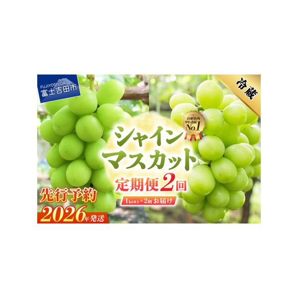 ■ 容量　2026年発送【定期便】シャインマスカット1kg以上×2回定期便　1回目(前半)：8月下旬〜9月下旬 発送予定　2回目(後半)：10月上旬〜11月上旬 発送予定　　※日時指定は出来かねておりますのでご注意ください。　※沖縄および離...