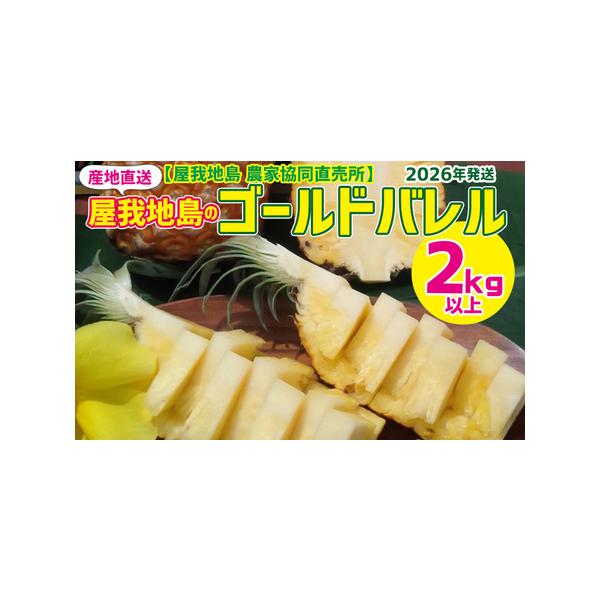 ■ 容量　名護市屋我地島産　ゴールドバレル2kg以上　　※複数の農家からランダムに選び発送します。　※農家のご指定はできませんのでご了承ください。■ 配送について　2026年7月中旬〜8月中旬頃　タイプ：【冷蔵】