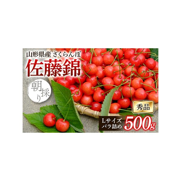 ■ 容量　品種：佐藤錦　産地：山形県　内容量：秀品・Lサイズ 500g（バラ）■ 配送について　2026年6月中旬頃〜下旬頃　※配送日指定不可　※天候・生育状況により変動する場合がございます（7月上旬頃になる場合もございます）　タイプ：【冷蔵】