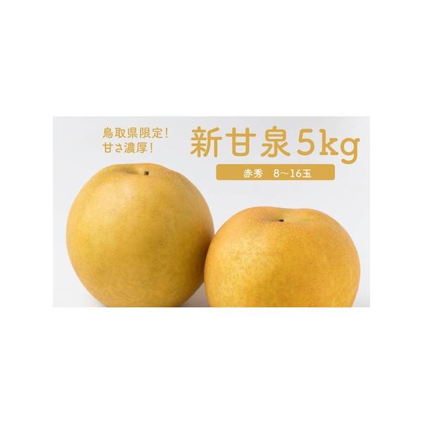 ■ 容量　〔等級〕赤秀　〔容量〕8〜16玉/5kg■ 配送について　2026年8月下旬から順次発送　タイプ：【常温】