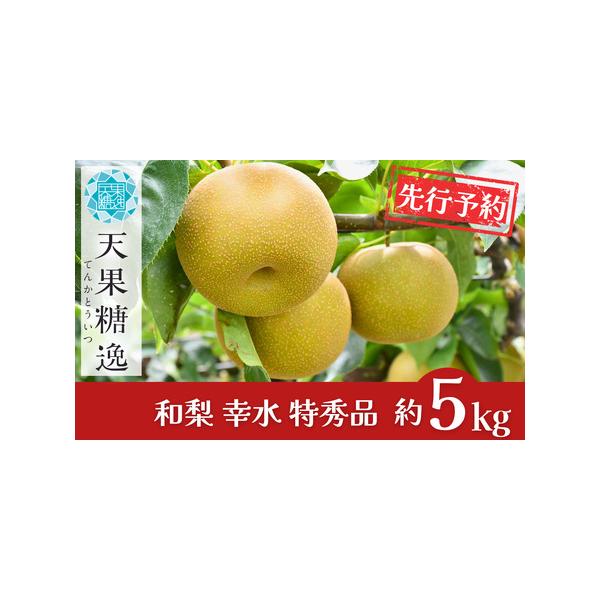 ■ 容量　約5kg(10~18玉前後）　※生育状況により、個数が前後する場合がございます。■ 配送について　8月下旬〜9月上旬頃　※天候や生育状況により、発送開始・終了時期が前後する場合がございます。　※お申込み順に発送いたしますので、配達...