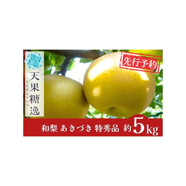 ■ 容量　約5kg（7~12玉前後）　※生育状況により、個数が前後する場合がございます。■ 配送について　9月中旬〜下旬頃　※天候や生育状況により、発送開始・終了時期が前後する場合がございます。　※お申込み順に発送いたしますので、配達日のご...