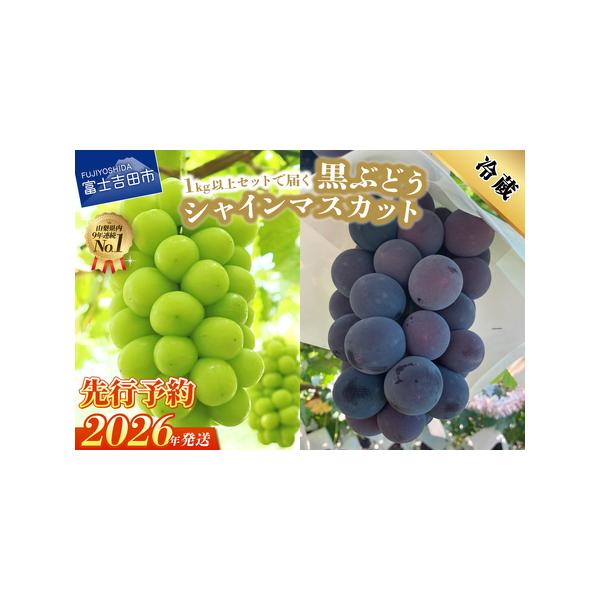 ■ 容量　シャインマスカット　1房（500ｇ前後）　黒ぶどう　1房（500ｇ前後）　※シャインマスカットと黒ぶどう、合せて1キロ以上で発送致します。　※沖縄および離島へのお届けはできません。　　■申込期日　2026年8月31日まで　※在庫が...