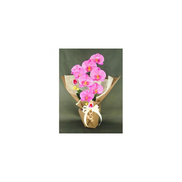 ■ 容量　光触媒　胡蝶蘭M 1本立ち/赤■ 配送について　20日以内に発送いたします　タイプ：【常温】