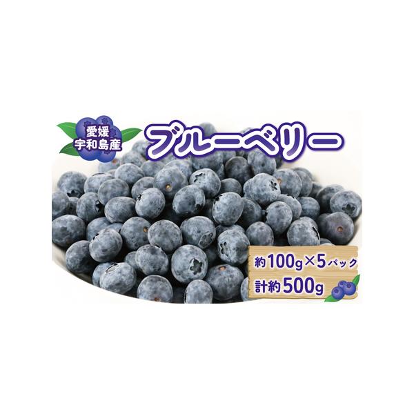 ■ 容量　ブルーベリー　約500g（100g×5パック）■ 配送について　4月中旬〜5月　※不在になるご予定がありましたら、必ずご記入ください。　ご不在が続いたことで果実が傷んだ場合、代品等の対応はいたしかねます。　タイプ：【冷蔵】