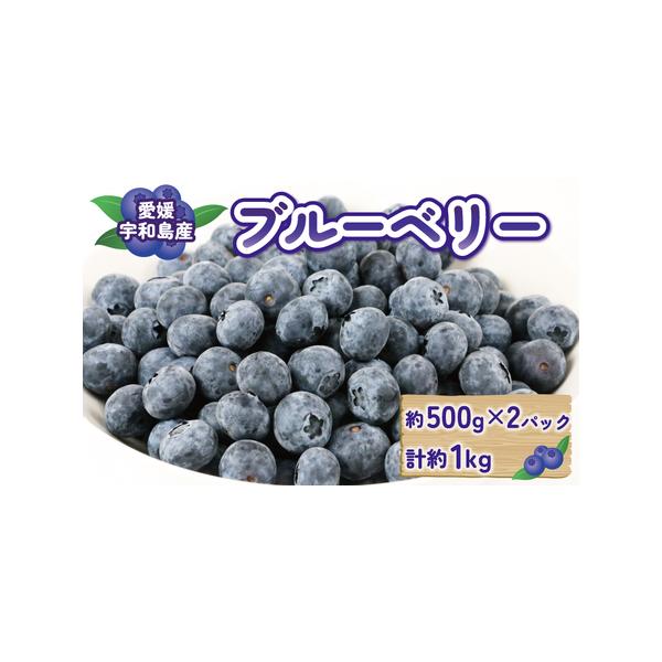 ■ 容量　ブルーベリー　約1kg（500g×2パック）■ 配送について　4月中旬〜5月　※不在になるご予定がありましたら、必ずご記入ください。　ご不在が続いたことで果実が傷んだ場合、代品等の対応はいたしかねます。　タイプ：【冷蔵】