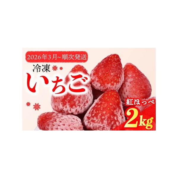■ 容量　冷凍いちご　2kg以上（1kgチャック付き×2袋）■ 配送について　【申込期日】通年　【発送期日】2026年3月から順次発送予定　※農作物のため配送が遅れる場合がございます。　あらかじめご了承くださいませ。　タイプ：【冷凍】