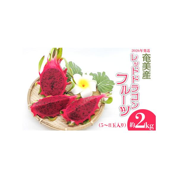 ■ 容量　【奄美産】レッドドラゴンフルーツ 約2kg（5〜8玉入り）■ 配送について　2026年7月下旬〜10月下旬にかけて発送予定　　タイプ：【冷蔵】
