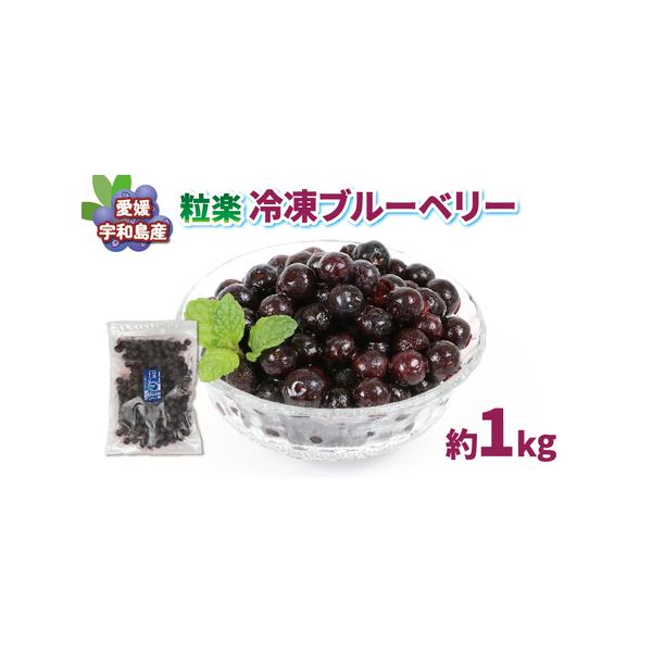 ■ 容量　冷凍ブルーベリー　約1kg(約500g×2袋)■ 配送について　8月〜5月　(ゴールデンウィーク、8/10〜8/18、12/27〜1/5、は発送不可)　◆12月のお届けをご希望の場合、11月末までにお申込みをお願いします◆　タイプ...