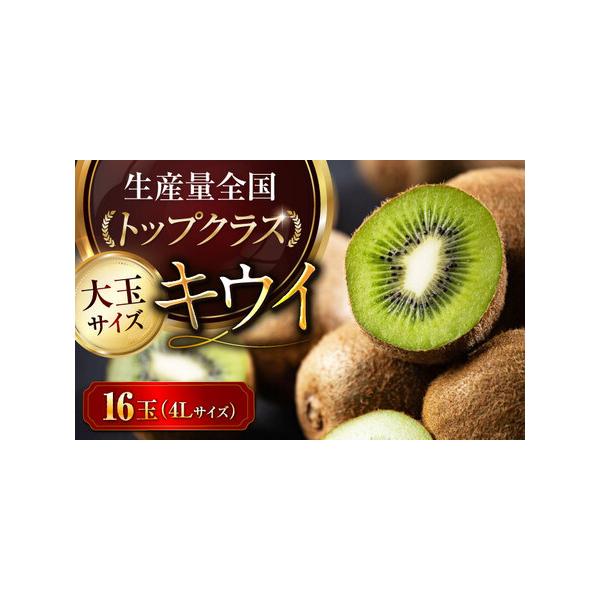 ■ 容量　赤秀 キウイフルーツ　4L大玉サイズ （16玉入り）　　■ご注意ください　のしはシール対応です。名入れはできません。ご了承ください。　青果物のため、日時指定は致しかねます。　到着後はできるだけ早く中身をご確認ください。　数に限りが...