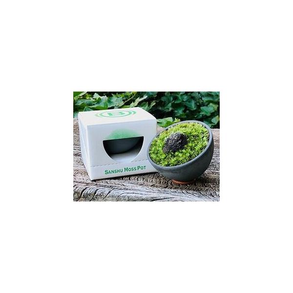 ■ 容量　※上記に記載■ 配送について　お申し込み後、順次発送　タイプ：【常温】