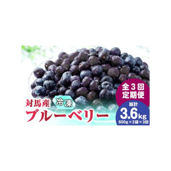 ■ 容量　以下の内容を全3回（月1回）お届けします。　　600g×2袋■ 配送について　2026年7月中旬以降毎月1回、定期便の回数に応じて発送いたします。　タイプ：【冷凍】【定期】