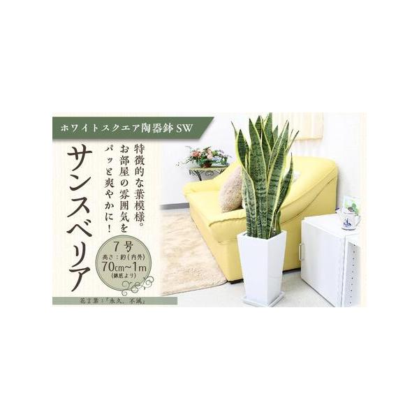 ■ 容量　■内容量/原産地　設置後の高さ:約70cm〜1m内外(鉢底より) 幅 約30〜40cm【陶器製鉢皿付き】/福岡県朝倉郡筑前町■ 配送について　2026年3月中旬以降順次発送いたします。※北海道・沖縄県・離島にはお届けできません。※...