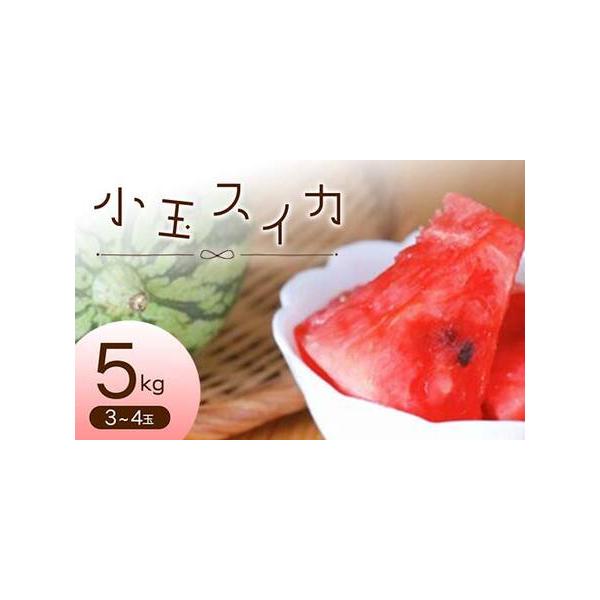 ■ 容量　小玉スイカ3〜4玉 5kg　※玉数はお選びできません。■ 配送について　2026年7月上旬頃〜8月下旬頃　タイプ：【常温】