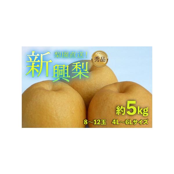 ■ 容量　■内容　［秀品］新興梨 5kg(8〜12玉入 サイズ：4Ｌ〜6Ｌ）　　■産地　福井県あわら市　　■賞味期限　到着後より30日以内　　※貯蔵性が高いので涼しいところに置いておけば１カ月近持つ場合もあります。　■ 配送について　■申込...