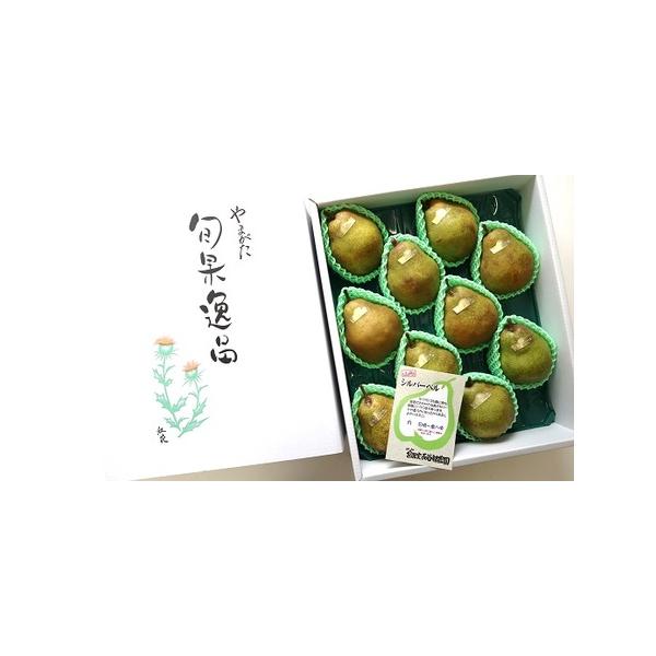 ■ 容量　洋梨「シルバーベル」　等級：秀　容量：約5kg （8玉〜10玉）　※果実の重さにより入り数が異なります。玉数はお選びいただけませんのでご了承ください。　■ 配送について　令和7年12月中旬〜令和8年1月中旬にかけて順次発送　※生育...