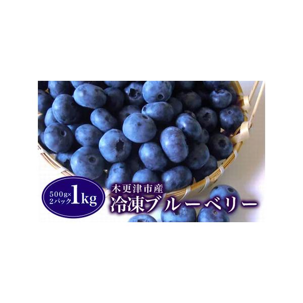 ■ 容量　冷凍ブルーベリー１kg（５００ｇ×２パック）■ 配送について　発送期間：2025/09/03〜2026年6月下旬　タイプ：【冷凍】