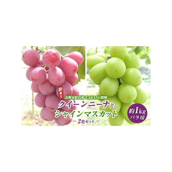 ■ 容量　訳ありクイーンニーナ 約500g・訳ありシャインマスカット 約500g（バラ房）　合計：約1kg　原産地：長野市　■ 配送について　2026年9月下旬〜10月下旬　　タイプ：【常温】