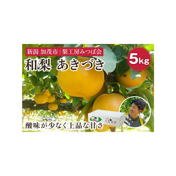 ■ 容量　和梨 あきづき 5kg　玉数の目安：8?16玉■ 配送について　【申込期日】2026年9月20日　【発送期日】2026年9月11日?2026年10月5日　　※年末年始・ゴールデンウィーク・お盆期間などの長期休暇中は、お届けまでにお...