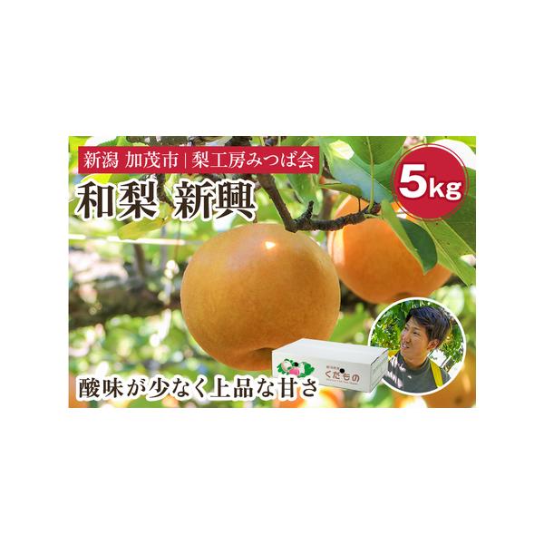 ■ 容量　和梨 新興 5kg　玉数の目安：6?12玉■ 配送について　【申込期日】2026年10月25日　【発送期日】2026年10月27日?2026年11月22日　　※年末年始・ゴールデンウィーク・お盆期間などの長期休暇中は、お届けまでに...