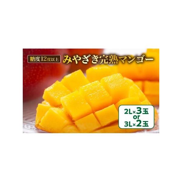■ 容量　【計2〜3玉】　みやざき完熟マンゴー(化粧箱入り）　「3Lサイズ2玉」もしくは「2Lサイズ3玉」　　※玉の大きさで個数が異なります。　※サイズはお選びいただけません。■ 配送について　令和8年4月中旬から順次発送　　※天候・生育の...