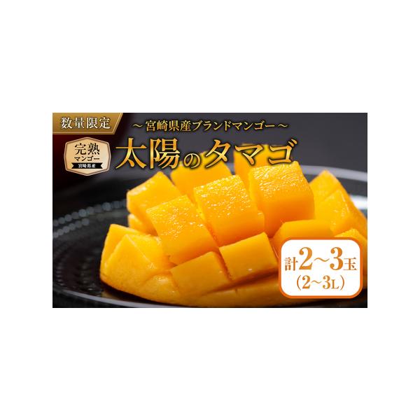 ■ 容量　【計2〜3玉】　太陽のタマゴ(化粧箱入り)　「3Lサイズ2玉」もしくは「2Lサイズ3玉」　　※玉の大きさで個数が異なります。　※サイズはお選びいただけません。■ 配送について　令和8年4月中旬から順次発送　　※天候・生育の影響によ...