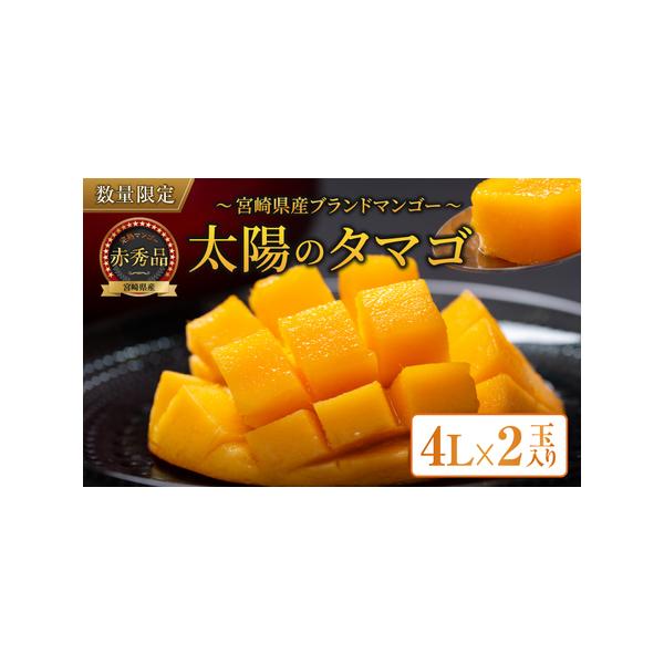 ■ 容量　【計2玉】　太陽のタマゴ(赤秀品)　4L×2玉(化粧箱入り)■ 配送について　令和8年4月中旬から順次発送　　※天候・生育の影響によっては、お届けが多少前後することをご了承ください。　※自然災害により出荷することができない場合がご...