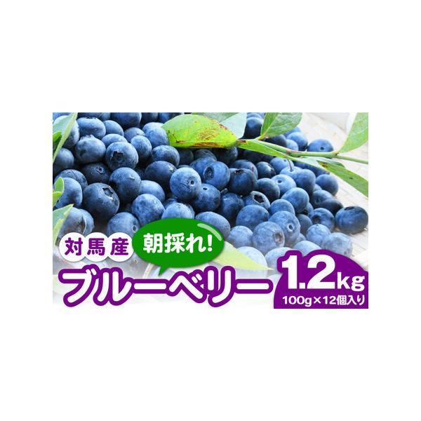 ■ 容量　100g×12個入りを箱でお届けします■ 配送について　2026年6月下旬より順次発送　※生育状況によっては発送時期が前後する場合がございます。　タイプ：【冷蔵】