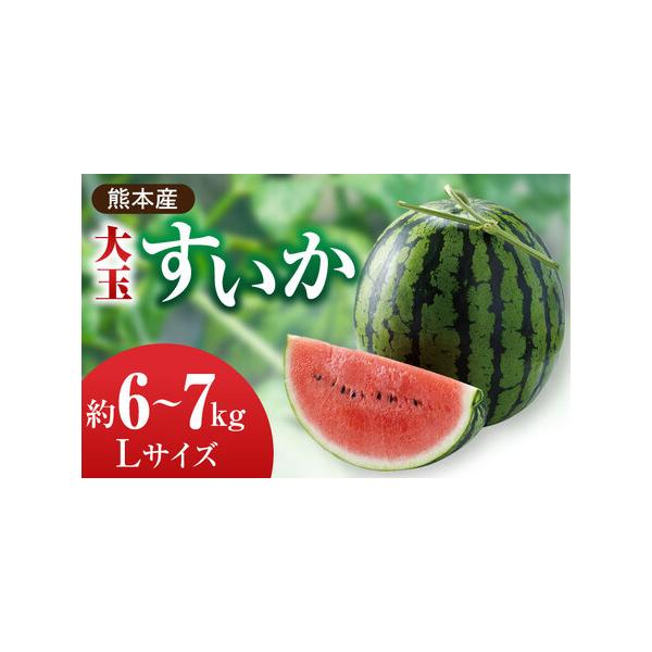 ■ 容量　約6kg〜約7kg　　品種は祭りばやしか春のだんらんで、旬に合わせてお送りいたします。　※品種の指定は致しかねますので、ご了承ください。■ 配送について　【2026年】4月中旬〜5月末までの間に順次発送致します。　※天候によっては...