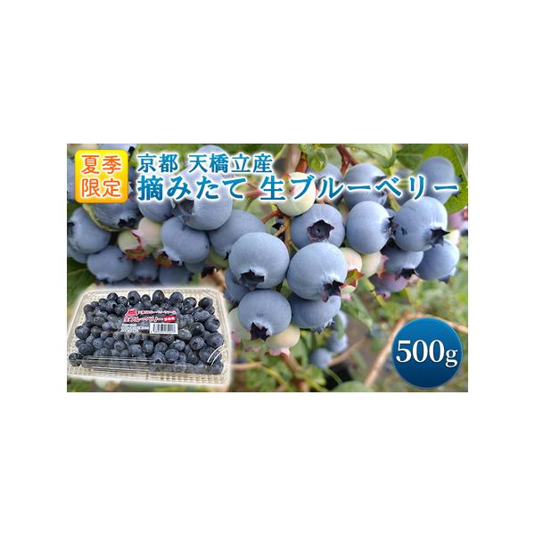 ■ 容量　京都 天橋立産生ブルーベリー 500g　■ 配送について　2026年6月下旬〜8月末まで　　タイプ：【冷蔵】