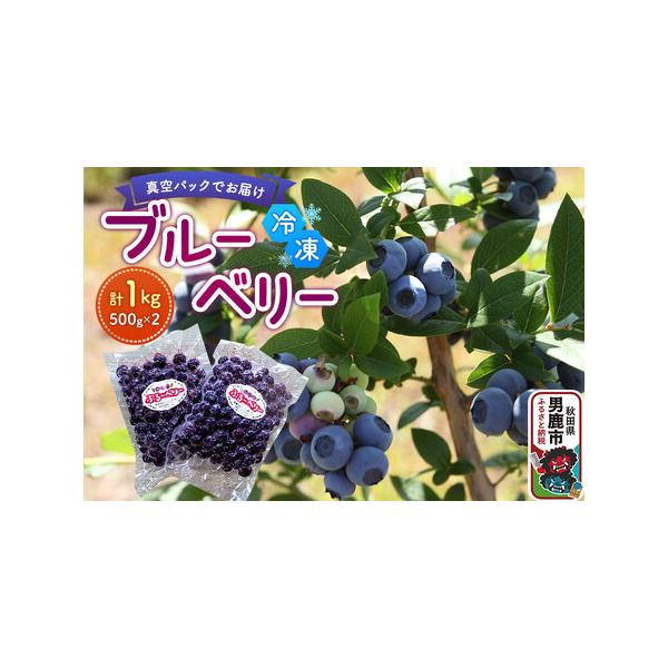 ■ 容量　■名称：冷凍ブルーベリー　■内容量：500g×2パック（合計1kg）　■原材料：ブルーベリー　■賞味期限：150日・要冷蔵　■提供元：有限会社シートピア　■注意事項：　※ふるさと納税（寄附申込み）のキャンセル、返礼品の変更・返品は...