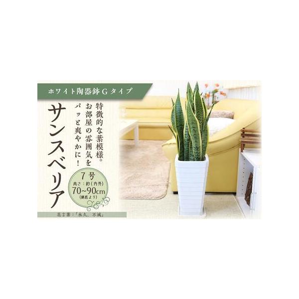 ■ 容量　設置後の高さ:約70cm〜90cm内外(鉢底より)　幅 約30〜40cm【陶器製鉢皿付き】■ 配送について　2026年3月中旬以降順次発送いたします。※北海道・沖縄県・離島にはお届けできません。※寒い地域にお住まいの場合は、発送元...