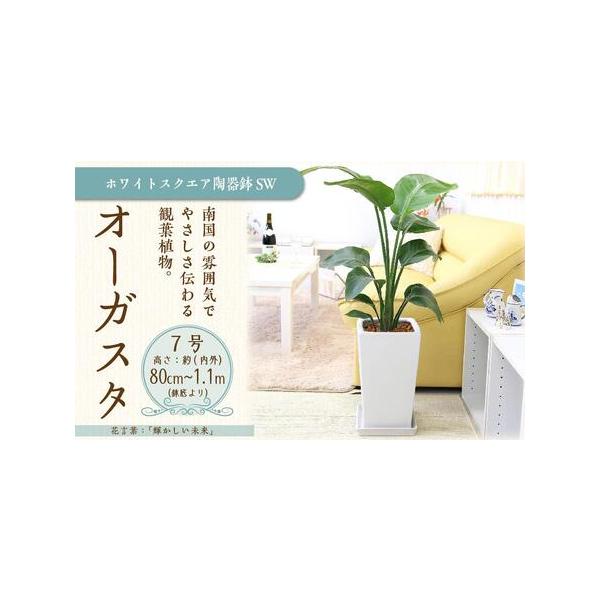 ■ 容量　◆内容/大きさ　設置後の高さ 約80cm〜1m10cm(鉢底より) 幅 約30〜40cm【陶器製鉢皿付き】■ 配送について　2026年3月中旬以降順次発送いたします。※北海道・沖縄県・離島にはお届けできません。※寒い地域にお住まい...