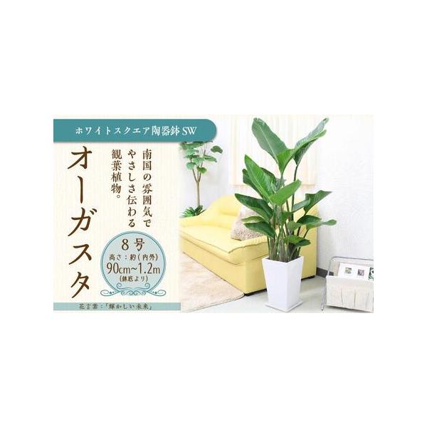 ■ 容量　◆内容/大きさ　設置後の高さ 約90cm〜1.2m(鉢底より) 幅 40〜55cm【陶器製鉢皿付き】■ 配送について　2026年3月中旬以降順次発送いたします。※北海道・沖縄県・離島にはお届けできません。※寒い地域にお住まいの場合...
