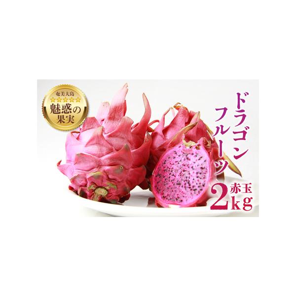 ■ 容量　ドラゴンフルーツ赤玉 約2kg（4〜9玉）　---------------------------------------------------　【賞味・消費期限】　出荷日より10日程度　　【保存方法】　冷蔵　　【該当するアレル...