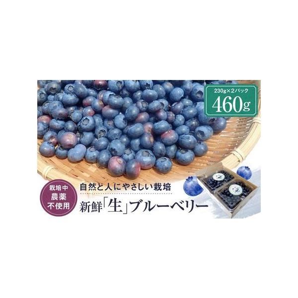 ■ 容量　ブルーベリー（生果実230g）×2パック　【原材料】　ブルーベリー　【賞味期限】　約10日間　【保存方法】　冷蔵（5〜8度）で保管　※長期の保存になりそうな時はすぐに冷凍（−18度）してください。半年ほど持ちます。■ 配送について...