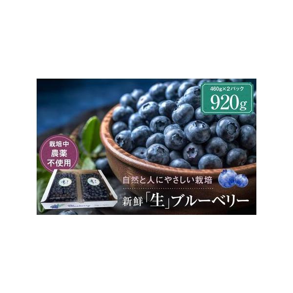 ■ 容量　ブルーベリー 920g（生果実460g）×2パック　　【原材料】　ブルーベリー　　【賞味期限】　約10日間　　【保存方法】　冷蔵（5〜8度）で保管　※長期の保存になりそうな時はすぐに冷凍（−18度）してください。半年ほど持ちます。...