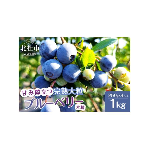 ■ 容量　250gパック×4個(計1kg)　　【消費期限】　到着後　冷蔵で1週間以内、冷凍で約半年。　※生鮮品のため、お早めにお召し上がりください。　　【申込可能な期間】　〜2026年5月31日まで　※在庫状況により申込期間が変更になる可能...