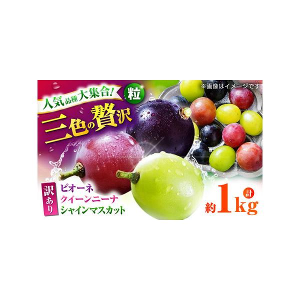 ■ 容量　約1kg　※一房でのお届けではなく、切り落とし（粒）でお届けします。■ 配送について　【2026年】7月末〜8月末までに順次配送致します。　※天候により予告なく配送期間が前後する可能がございますので、ご了承くださいませ。　タイプ：...