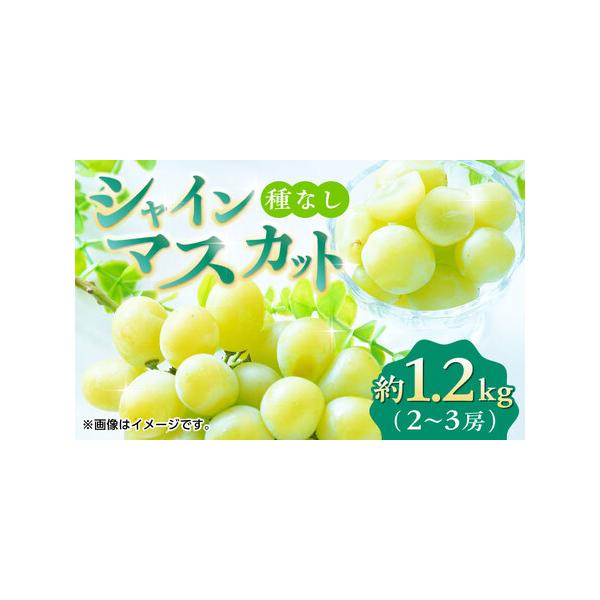■ 容量　ぶどう（シャインマスカット）　約1.2kg（2から3房）　　※商品到着後は冷蔵庫にて保存してください。また、完熟状態で発送していますので到着後は早めにお召し上がりください。■ 配送について　【2026年】8月中旬から9月中旬の期間...