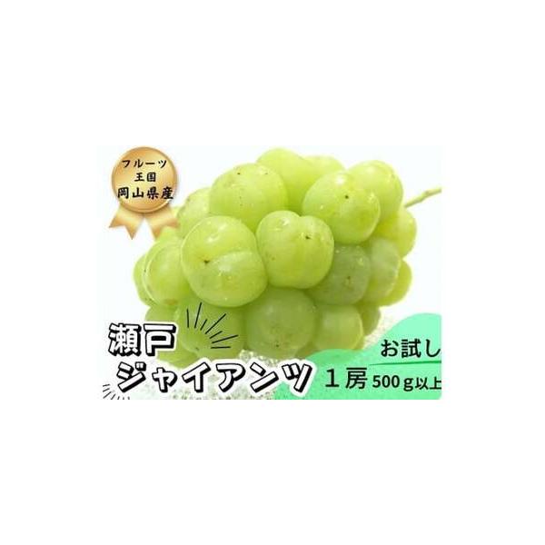 ■ 容量　【容量】　朝採り新鮮！人気ぶどう瀬戸ジャイアンツ1房（500ｇ以上）　　※気候や天災等の影響で、房でのお届けが難しい場合は、小房を組み合わせてや、粒切りの状態でお送りする可能性があります。　　【賞味期限】　到着次第、お早めにお召し...