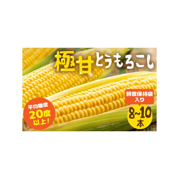 ■ 容量　朝採りとうもろこし　8〜10本　3.5〜4kg■ 配送について　発送期間：2026年　・6月下旬から7月下旬　※発送期間以外のお申し込みは先行予約となります。　※収穫の状況に応じてベストな状態で、お申し込み順に商品の発送を行ってお...