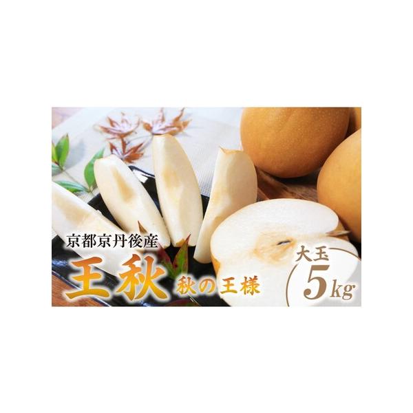 ■ 容量　王秋 5kg（概ね7玉〜12玉）　　【賞味期限】　到着から約2週間。できるだけ涼しい場所で保管してください■ 配送について　【配送可能期間】　2026年11月上旬〜12月中旬　※天候や生育状況により出荷時期に多少変動がございます。...