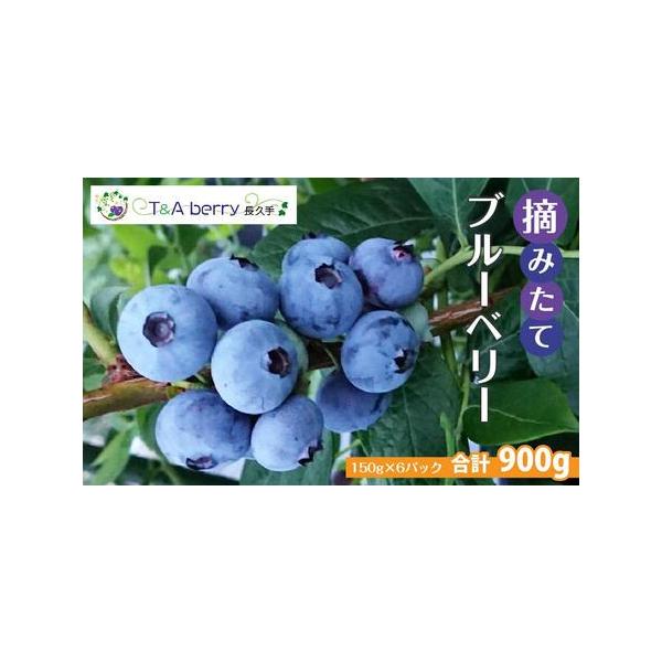 ■ 容量　長久手市産ブルーベリー（150g×6)　【原材料名】　ブルーベリー　【賞味期限】　出荷後、冷蔵にて４〜５日　【保存方法】　要冷蔵■ 配送について　・前年7月16日〜当年7月15日までの申し込み・・・今年度中（6月〜7月）に発送　・...